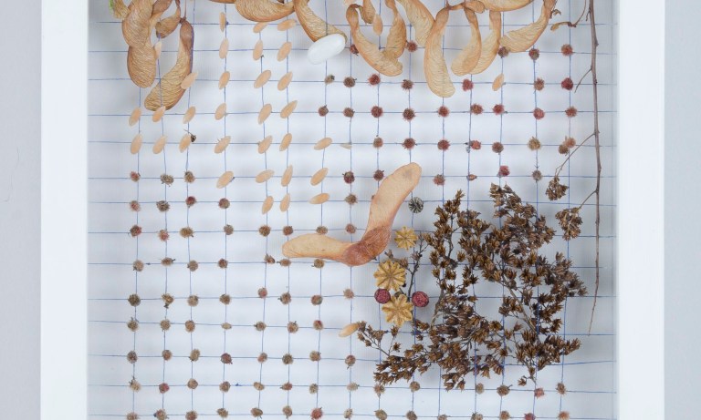 SEED MUSEUMS – GrowStudio