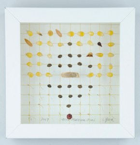 SEED MUSEUMS – GrowStudio