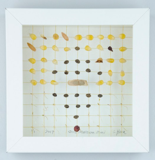 SEED MUSEUMS – GrowStudio