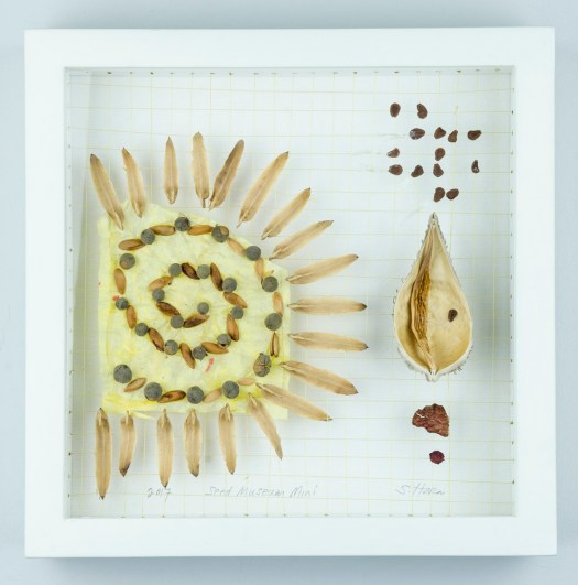 SEED MUSEUMS – GrowStudio