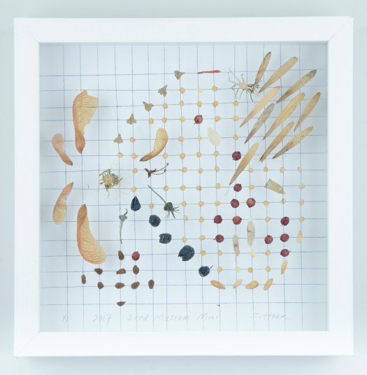 SEED MUSEUMS – GrowStudio